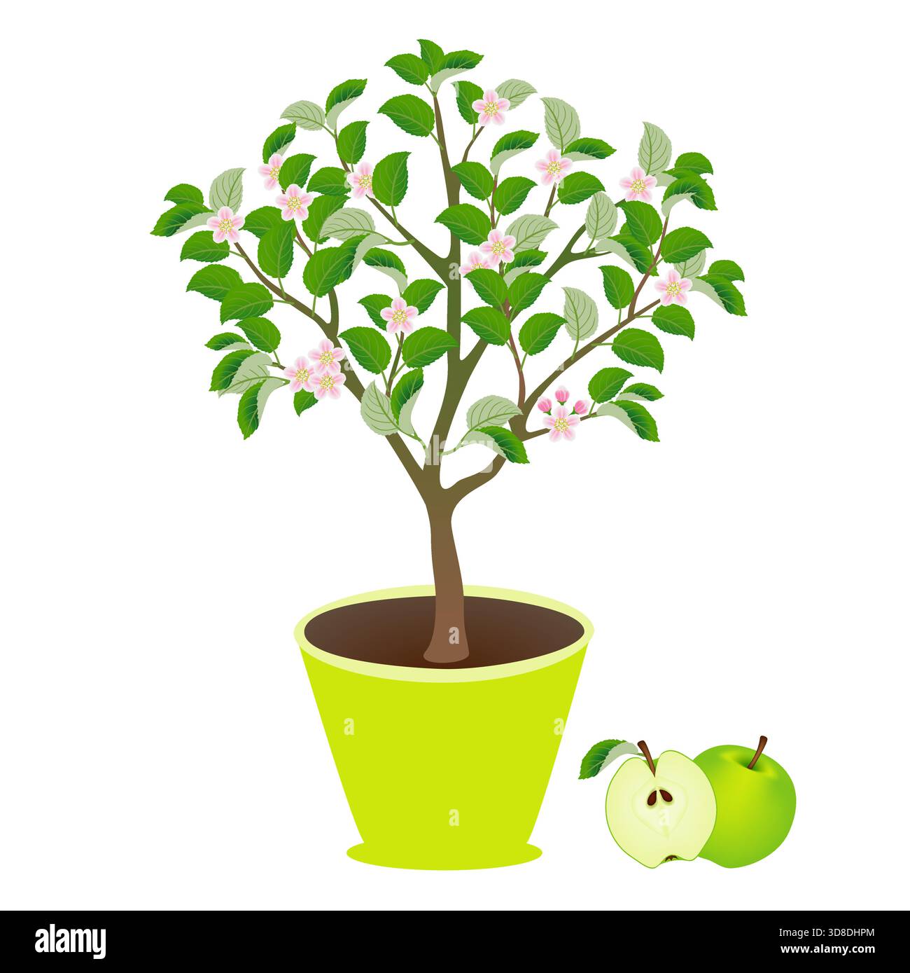 Apple grow pot Stock Vector Images - Alamy