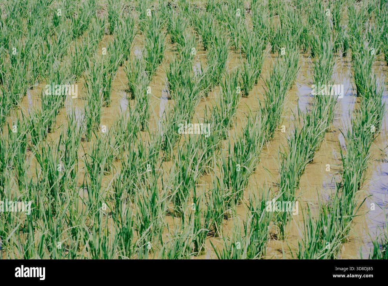 Fujichrome velvia 100 hi-res stock photography and images - Alamy
