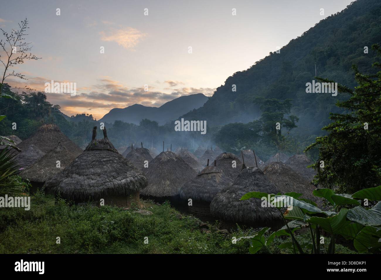 Traditional Kogi village huts at dawn on Lost City Trek, Colombia Stock ...