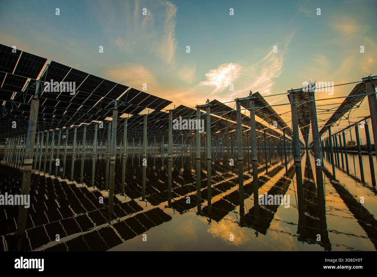 On site construction of photovoltaic panels Stock Photo - Alamy