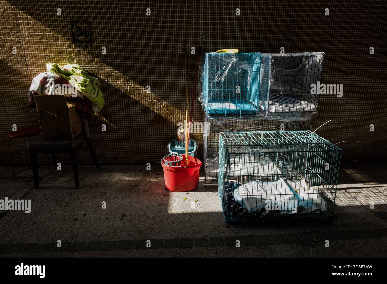 The animals cages seen at the pets rescue station. On Wednesday 26th ...
