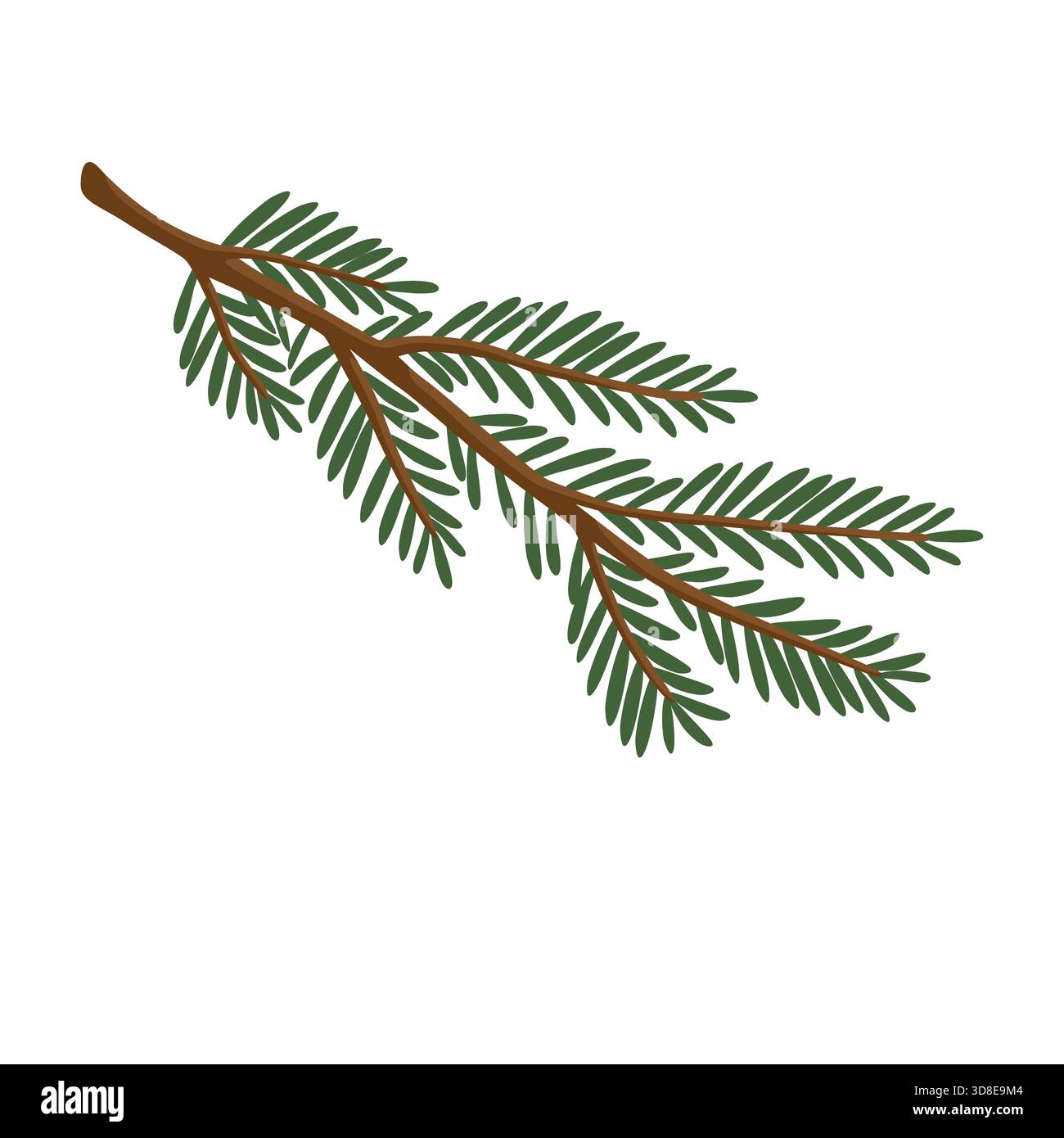 Detailed Green Spruce Branch Illustration Stock Vector Image & Art - Alamy