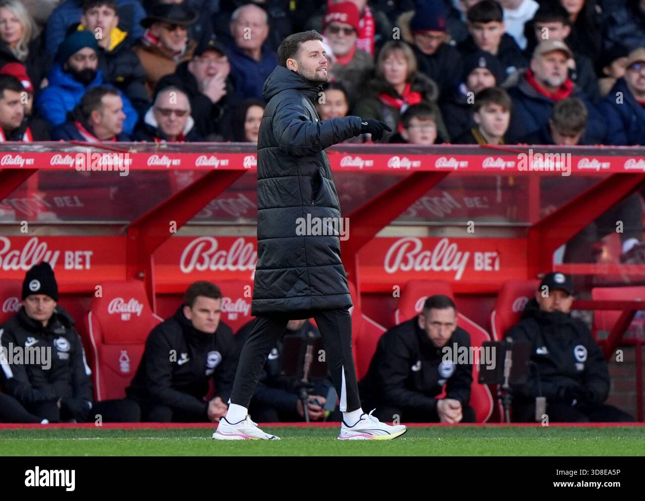 Brighton and Hove Albion manager Fabian Hurzeler on the touchline ...