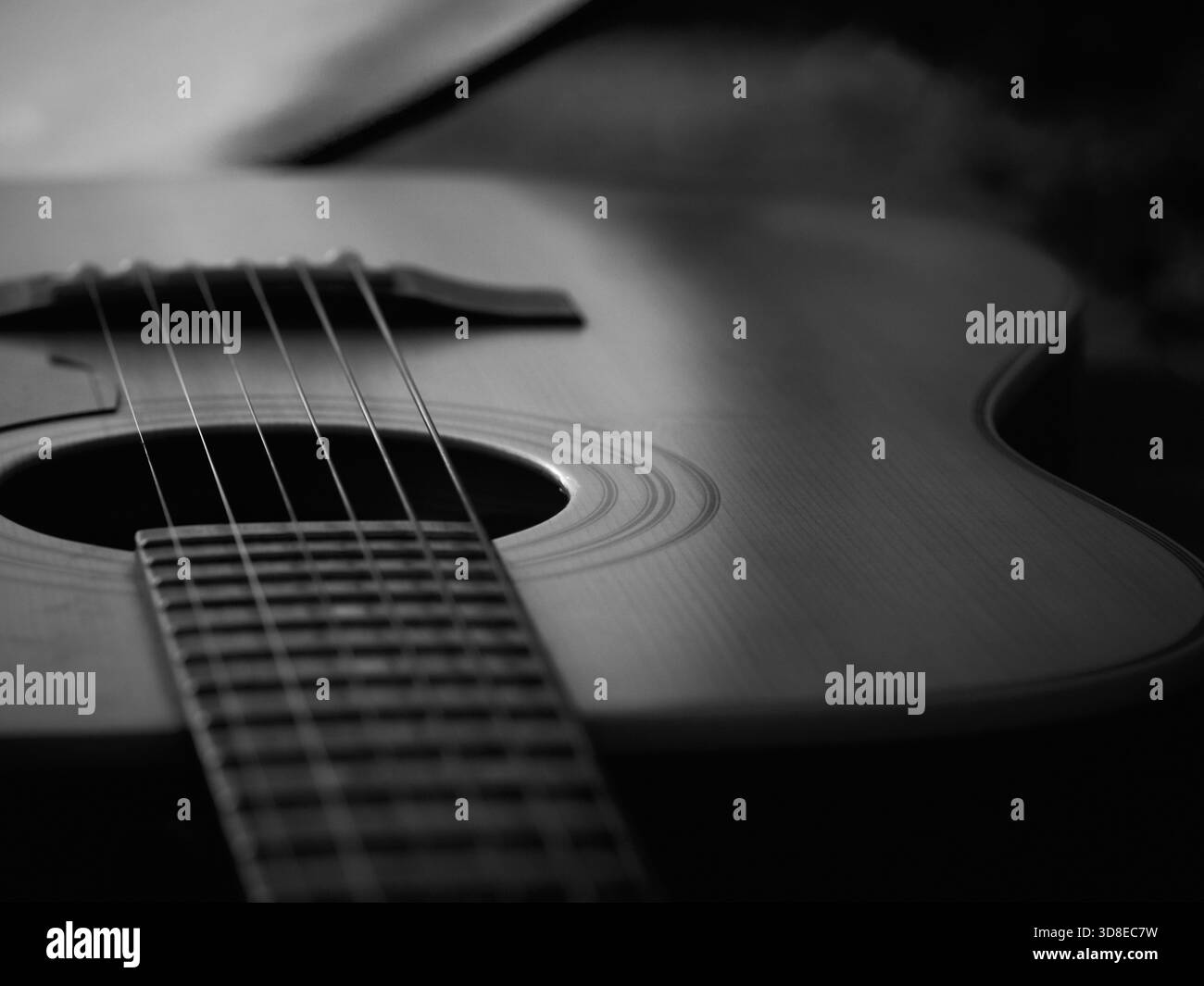 Monochrome photo of guitar with neck extending left, few frets in focus ...