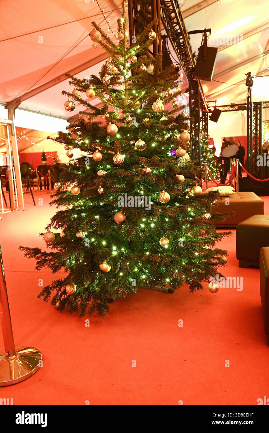 mit Kugeln geschmückter Weihnachtsbaum, Tannenbaum *** Christmas tree ...