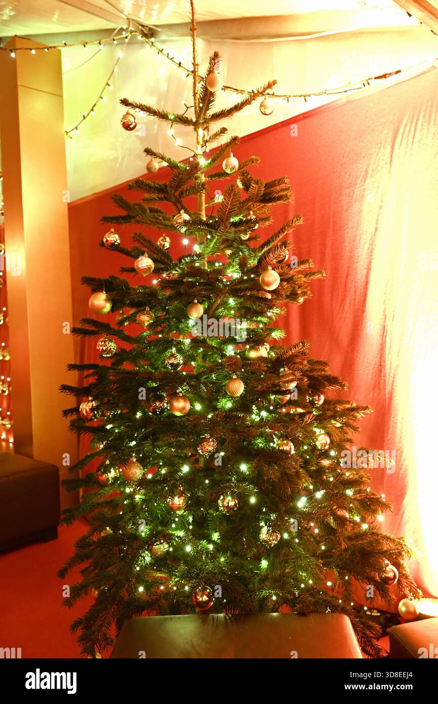 mit Kugeln geschmückter Weihnachtsbaum, Tannenbaum *** Christmas tree ...