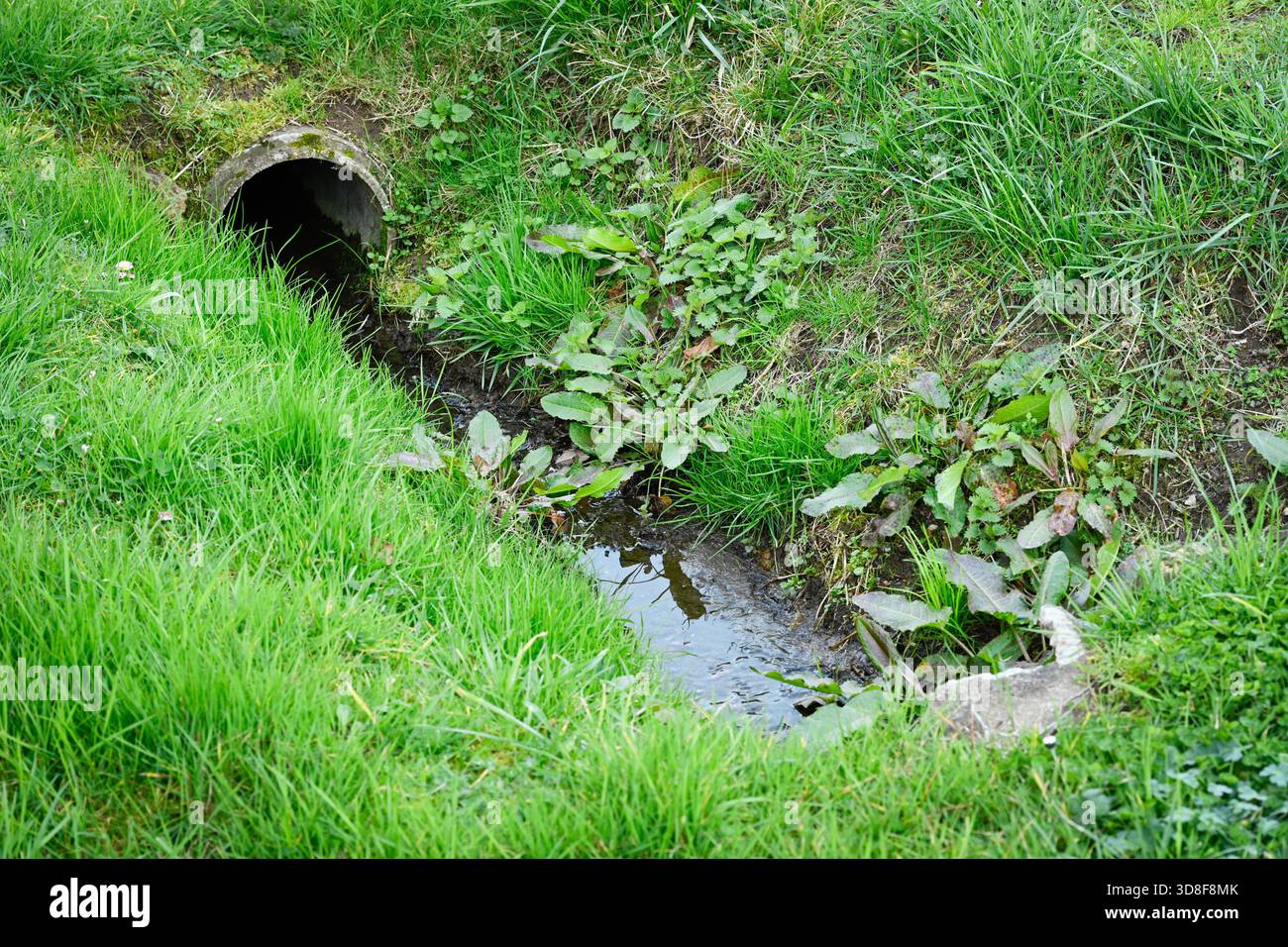Open section with water in a drainage ditch, between two concrete pipes ...