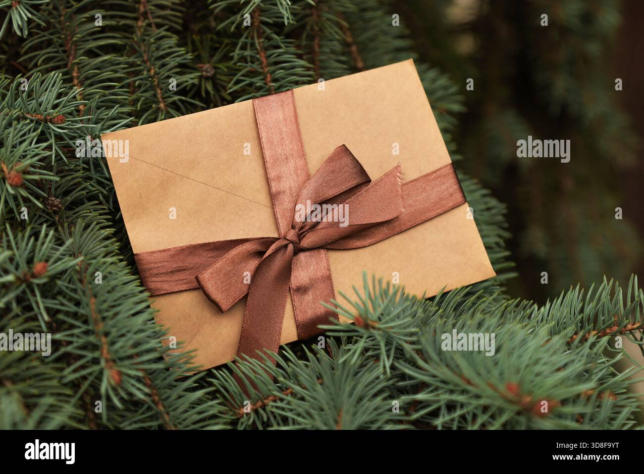 Gift certificate design pink hi-res stock photography and images - Alamy