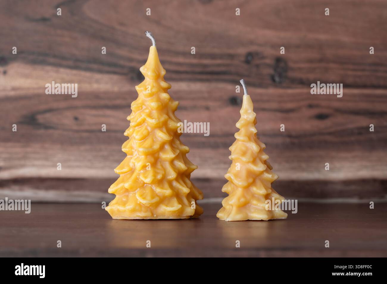Two bees wax pine trees candles, one large one small, wood background ...