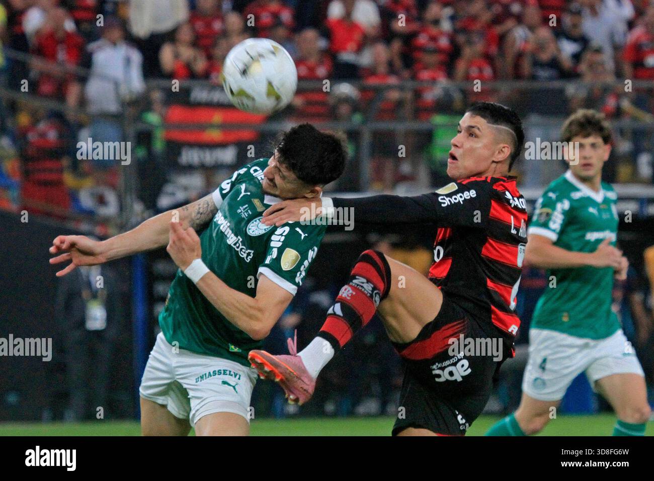 Palmeiras flaco lopez hi-res stock photography and images - Alamy