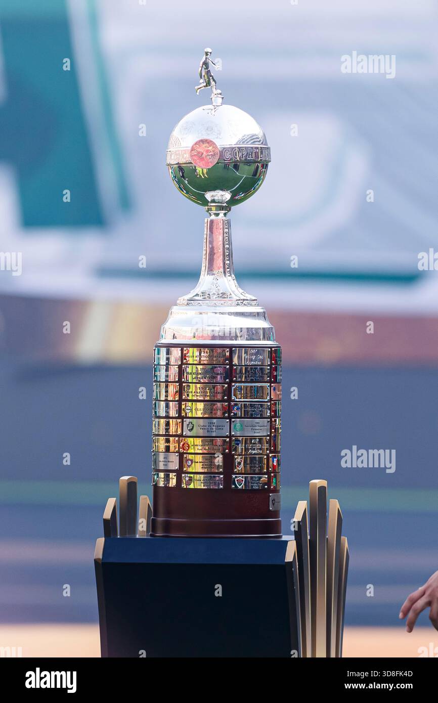 Lima, Peru - November 29: Detail view of the Copa CONMEBOL Libertadores ...