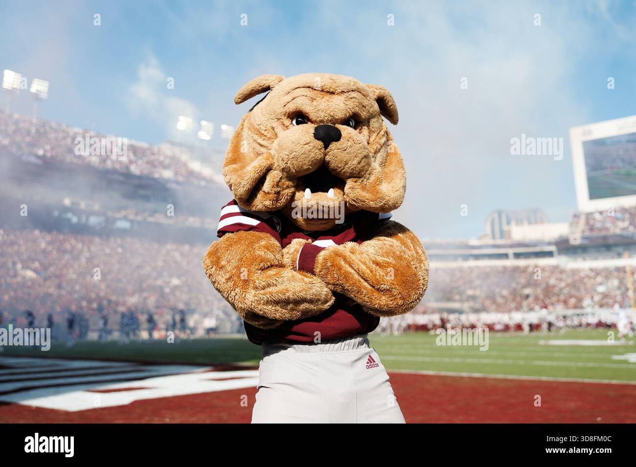 Mississippi State Bulldogs mascot poses before the NCAA Football ...