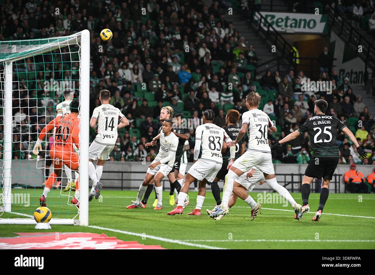 Lisbon, Portugal. 30 November 2025. Sporting CP against Estrela da ...