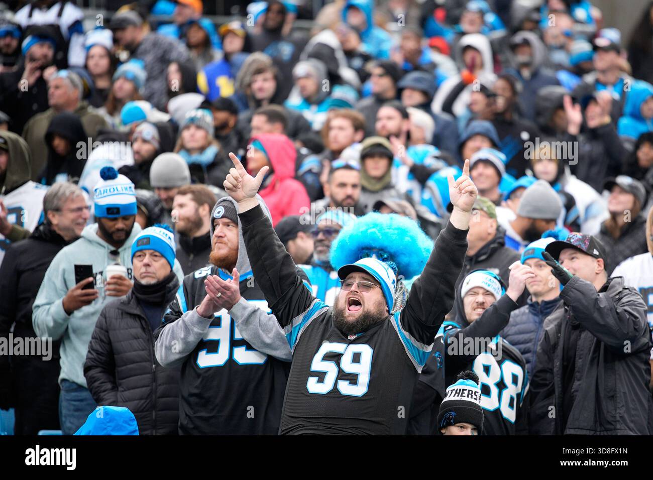 Carolina Panthers fans celebrates after an NFL football game between ...