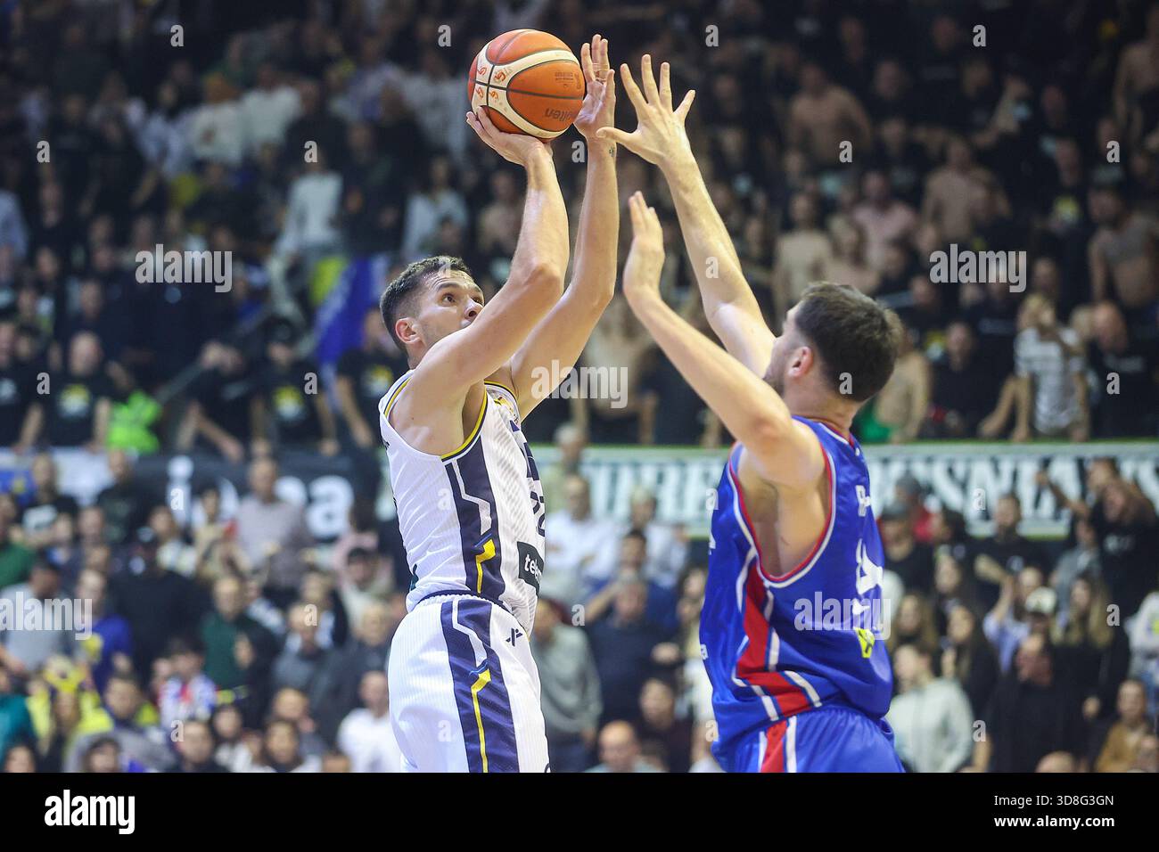 Emir Sulejmanovic of Bosnia and Herzegovina during the FIBA Basketball ...