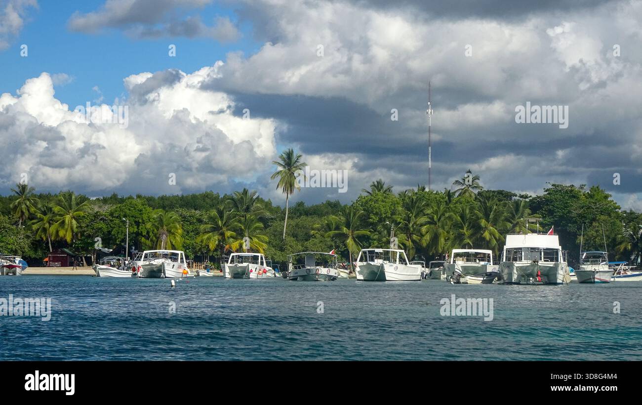 Yachts line tropical marina hi-res stock photography and images - Alamy