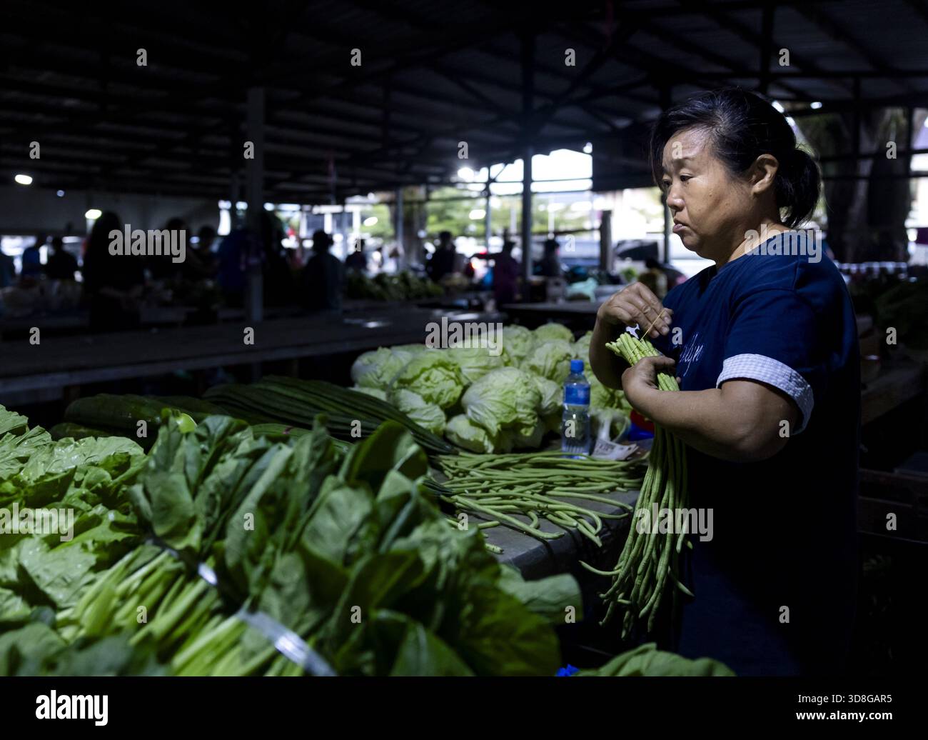 PARAMARIBO - A Sunday market in downtown Paramaribo, Suriname. The ...