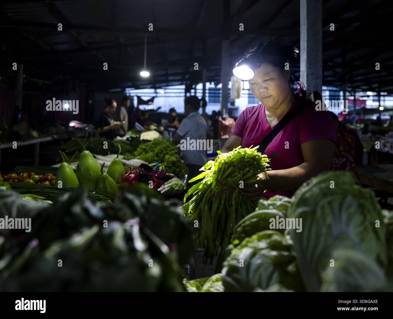 PARAMARIBO - A Sunday market in downtown Paramaribo, Suriname. The ...