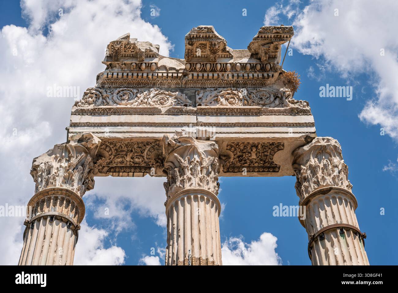 Italy - Rome - Temple of Venus Genetrix - Ancient Corinthian columns ...