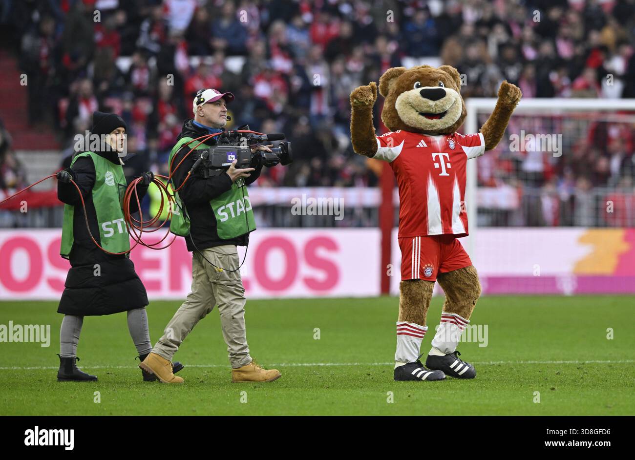 Mascot Berni FC Bayern Munich FCB (12) with TV team, TV camera, Allianz ...