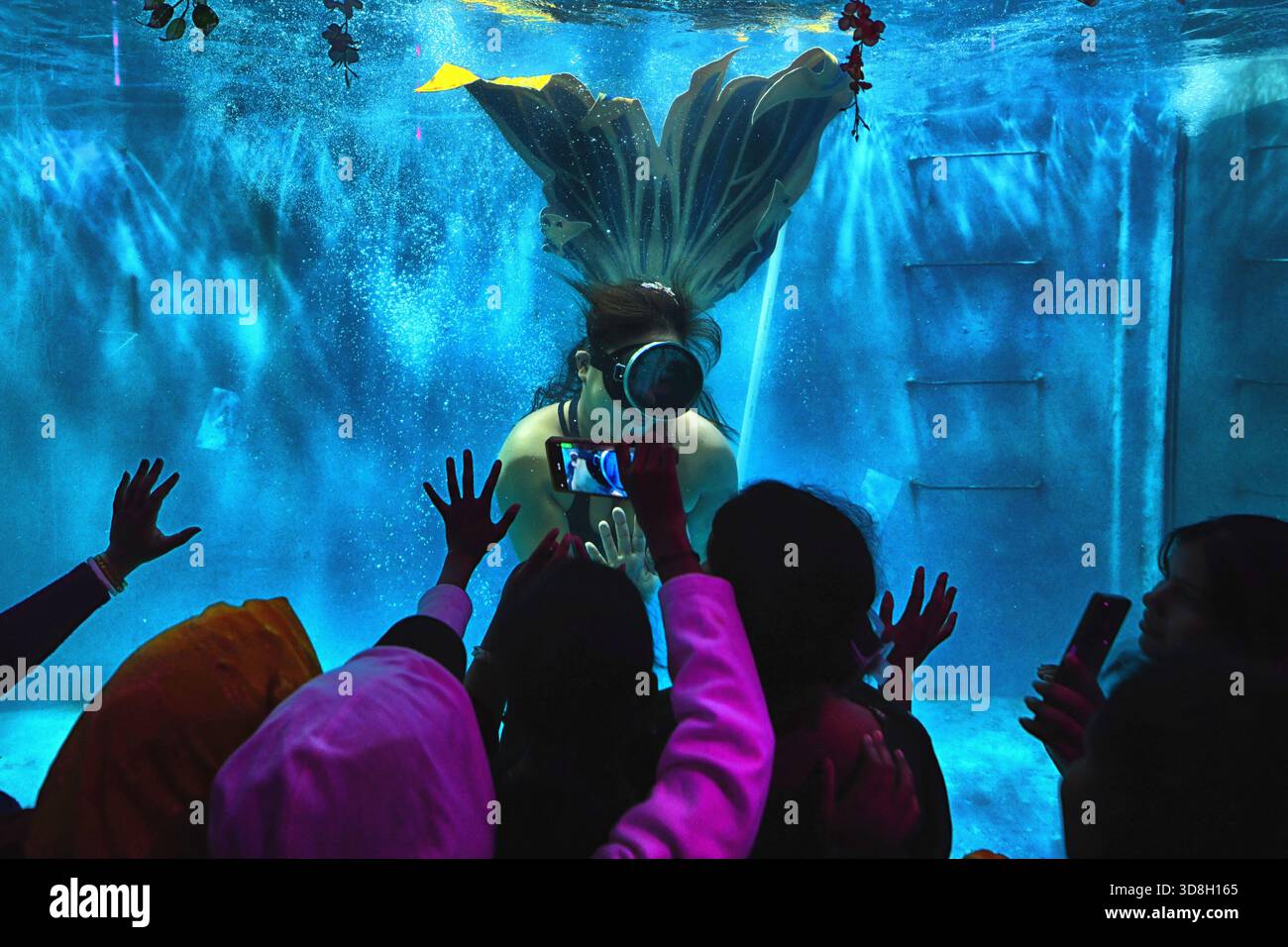 Visitors watch & take photos of an underwater mermaid performance at a ...