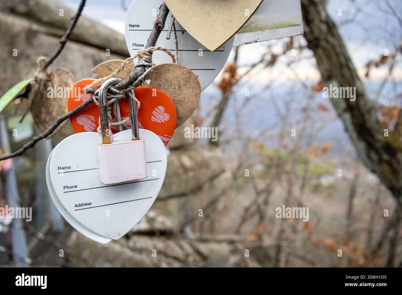 Heart-shaped tags and lock hanging from a tree in a park in Daegu ...
