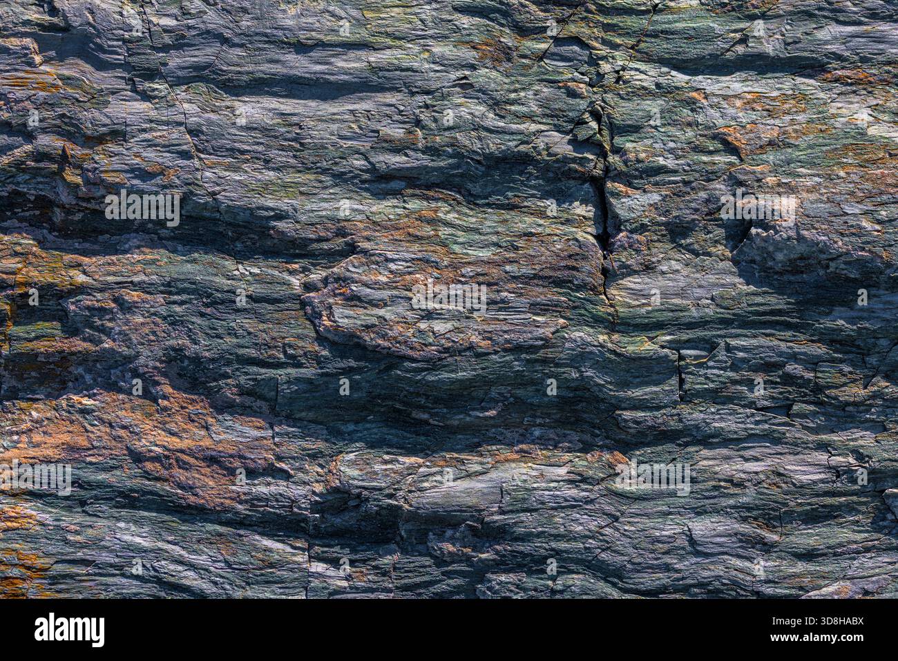 Detailed view of a weathered metamorphic rock face displaying shades of ...