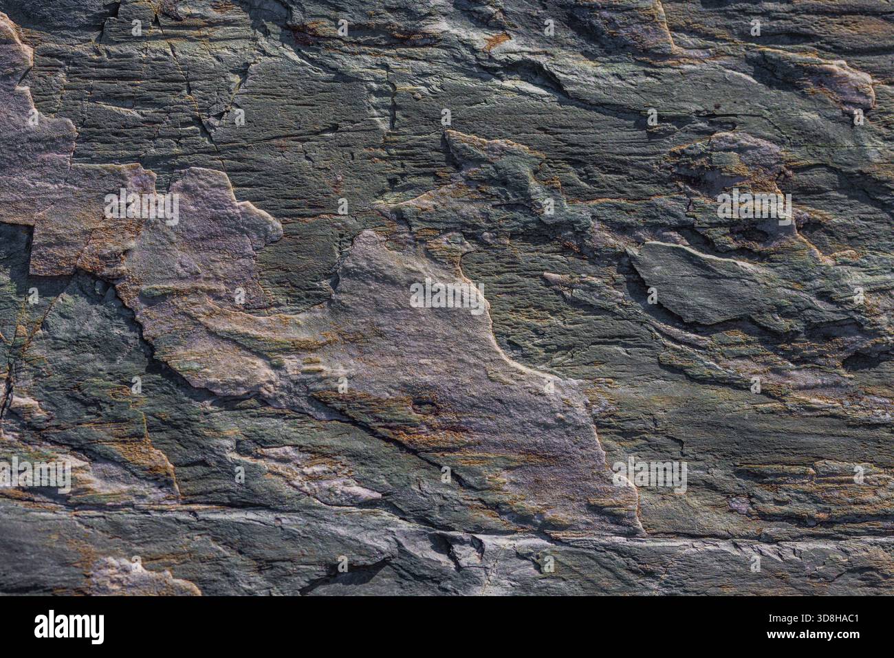 Detailed view of a rough metamorphic rock face showing distinct layers ...
