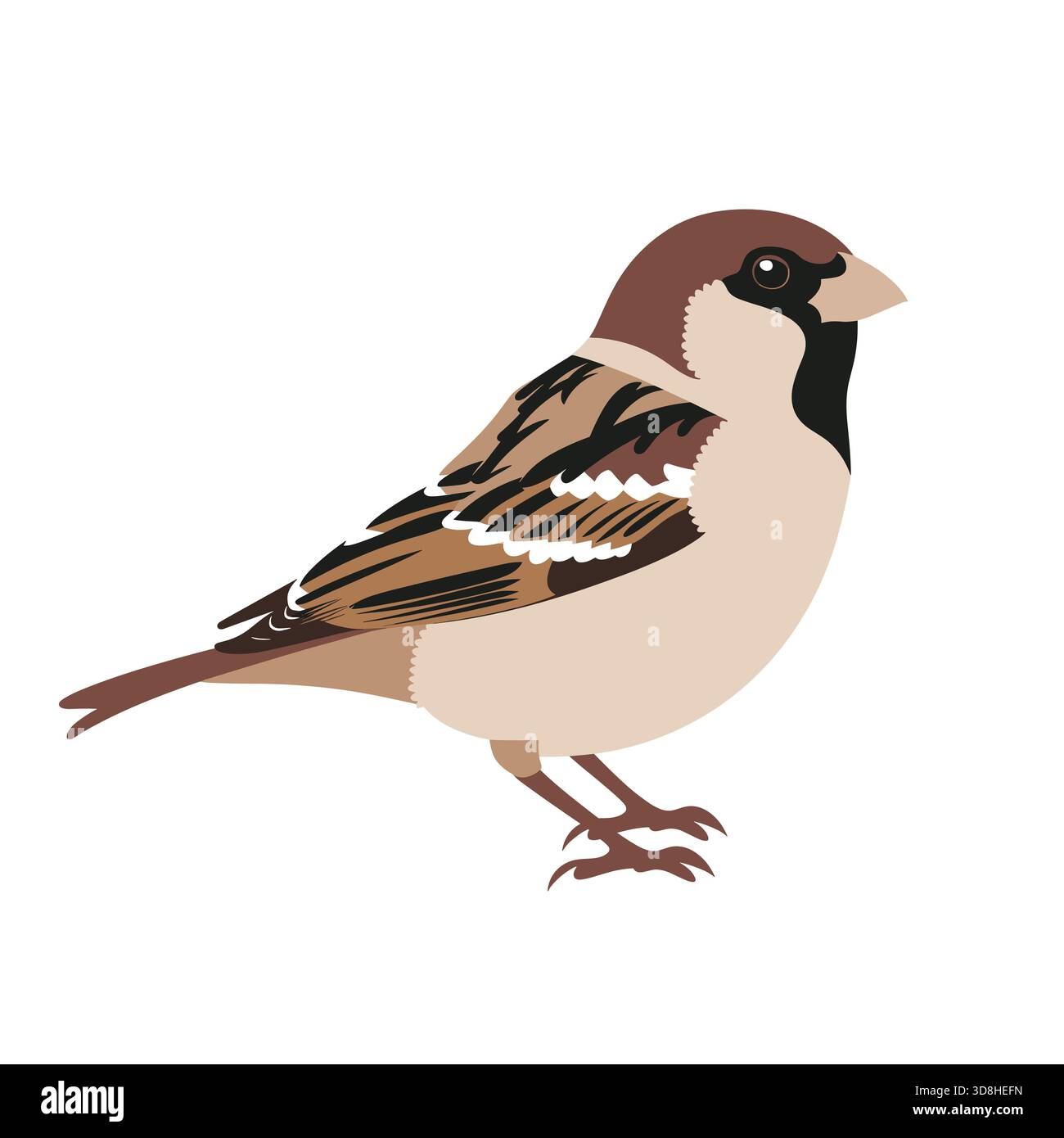 A sparrow is depicted in vector art with brown, black, and cream colors ...