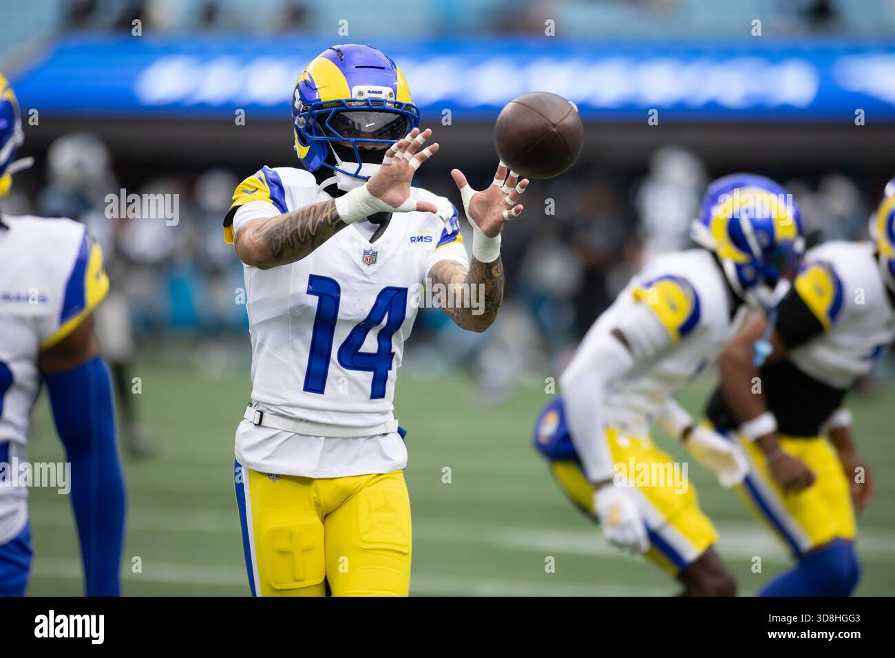 Cobie durant rams hi-res stock photography and images - Alamy