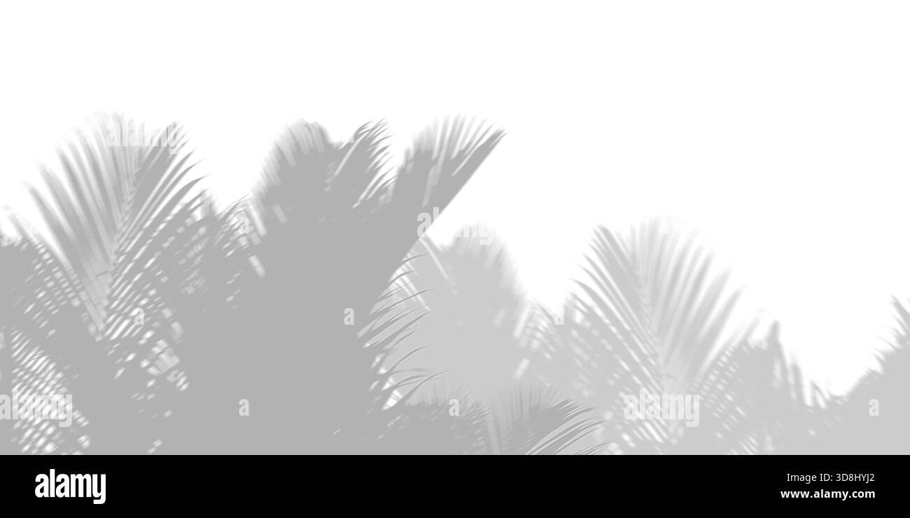 Shadows overlay palm leaf Black and White Stock Photos & Images - Alamy