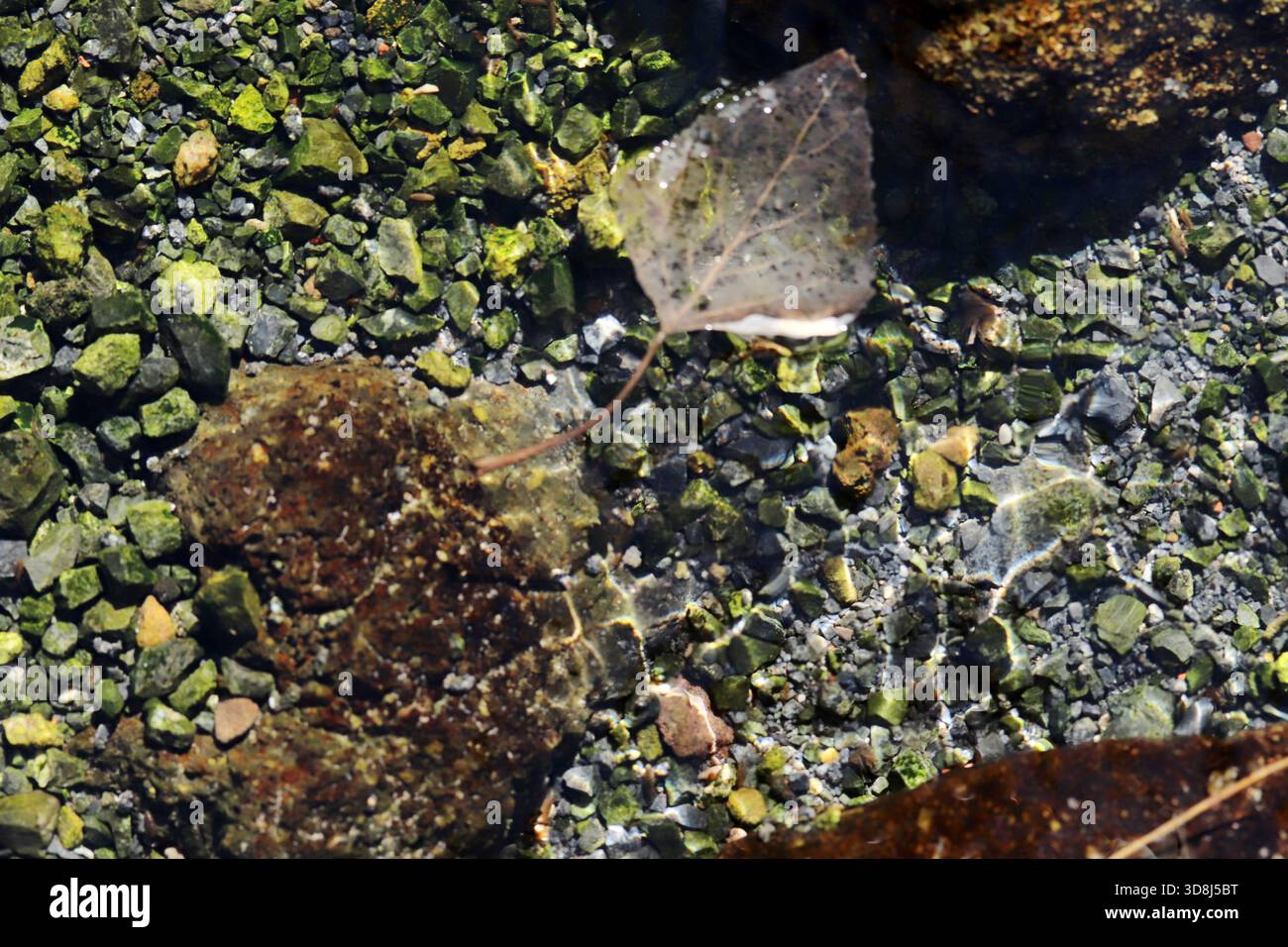 Water body bottom hi-res stock photography and images - Alamy