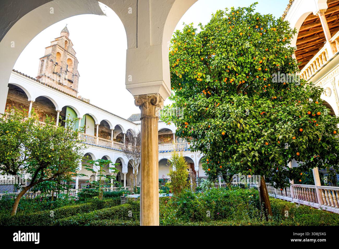 Images of the current state of the courtyard of the convent of Santa ...