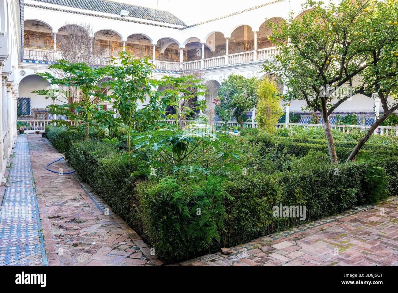 Images of the current state of the courtyard of the convent of Santa ...