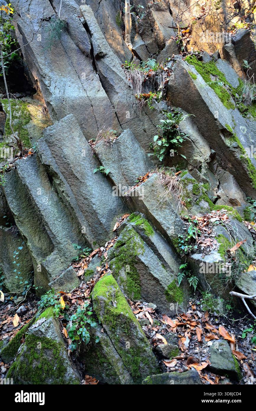 Monte Cinto, Euganean Hills, Veneto, Italy. The Euganean Hills are a ...