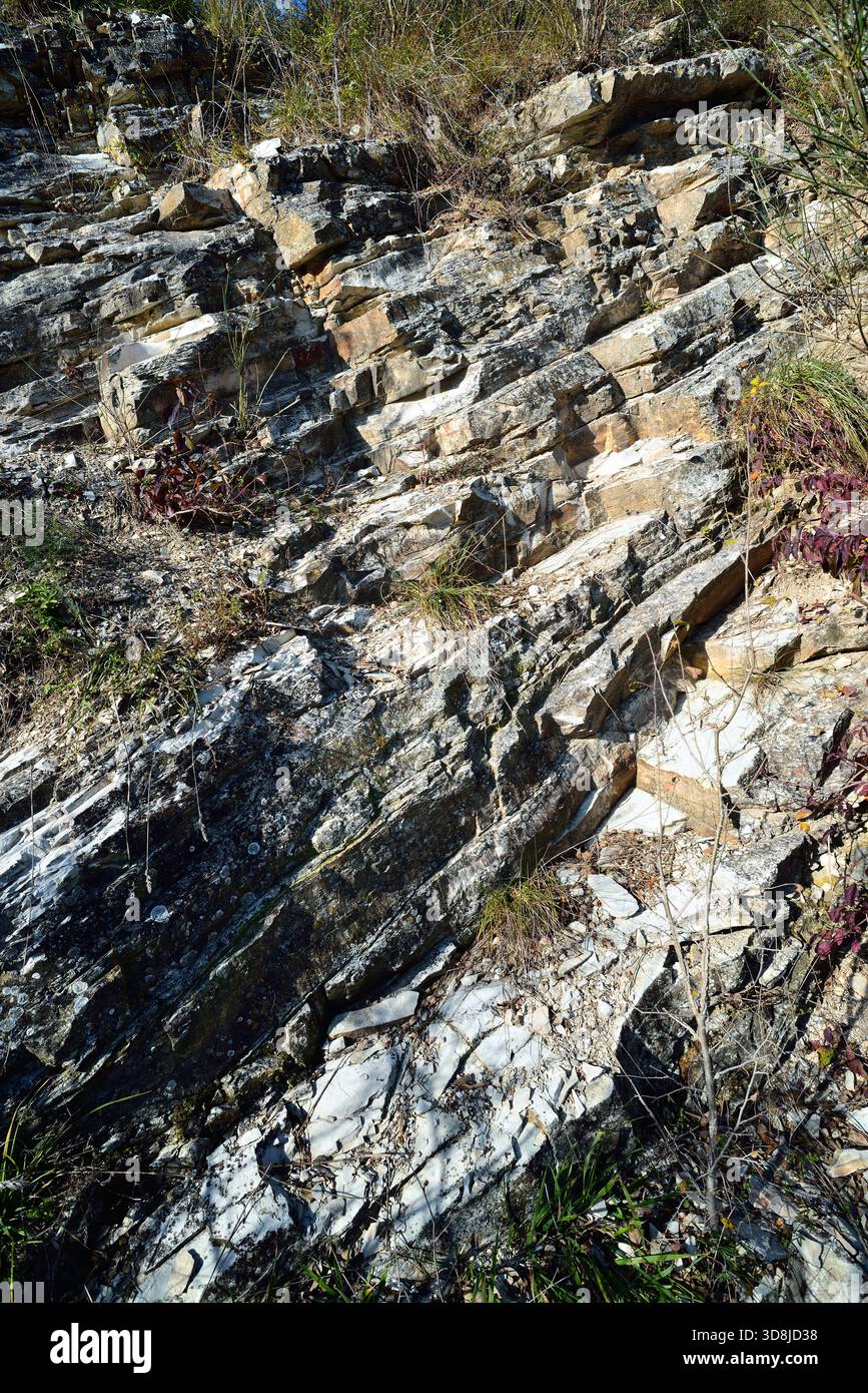 Monte Cinto, Euganean Hills, Veneto, Italy. The Euganean Hills are a ...