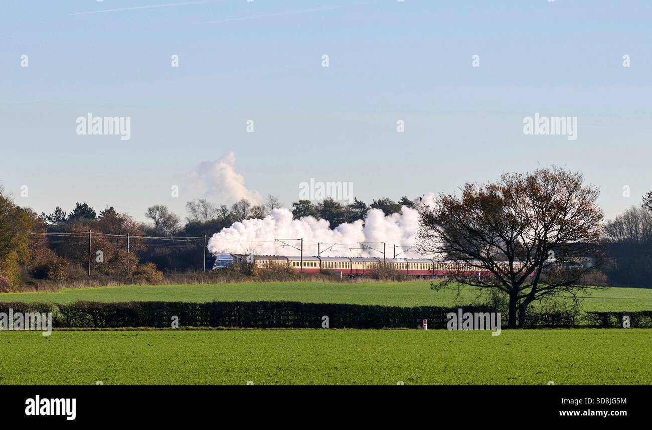 Historic Steam Locomotive, A4 Pacific Sir Nigel Gresley, at speed on ...