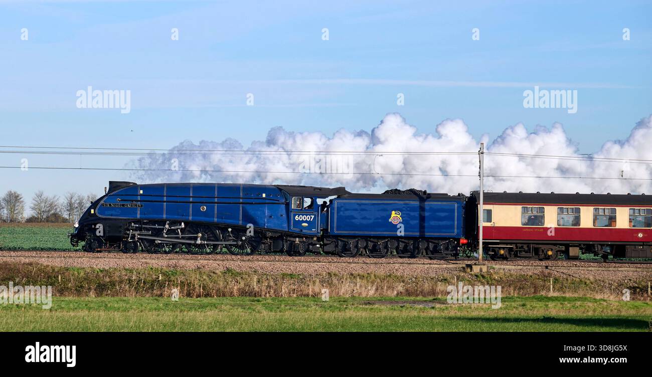 Historic Steam Locomotive, A4 Pacific Sir Nigel Gresley, at speed on ...