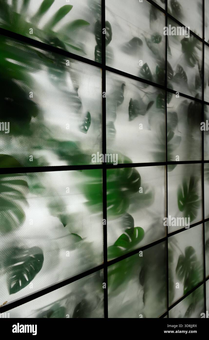 Frosted glass reveals the lush leaves of the monstera, combining ...
