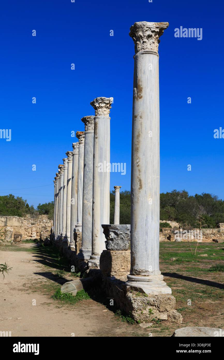 Ancient Roman ruins at Salamis, Northern Cyprus Republic Stock Photo ...