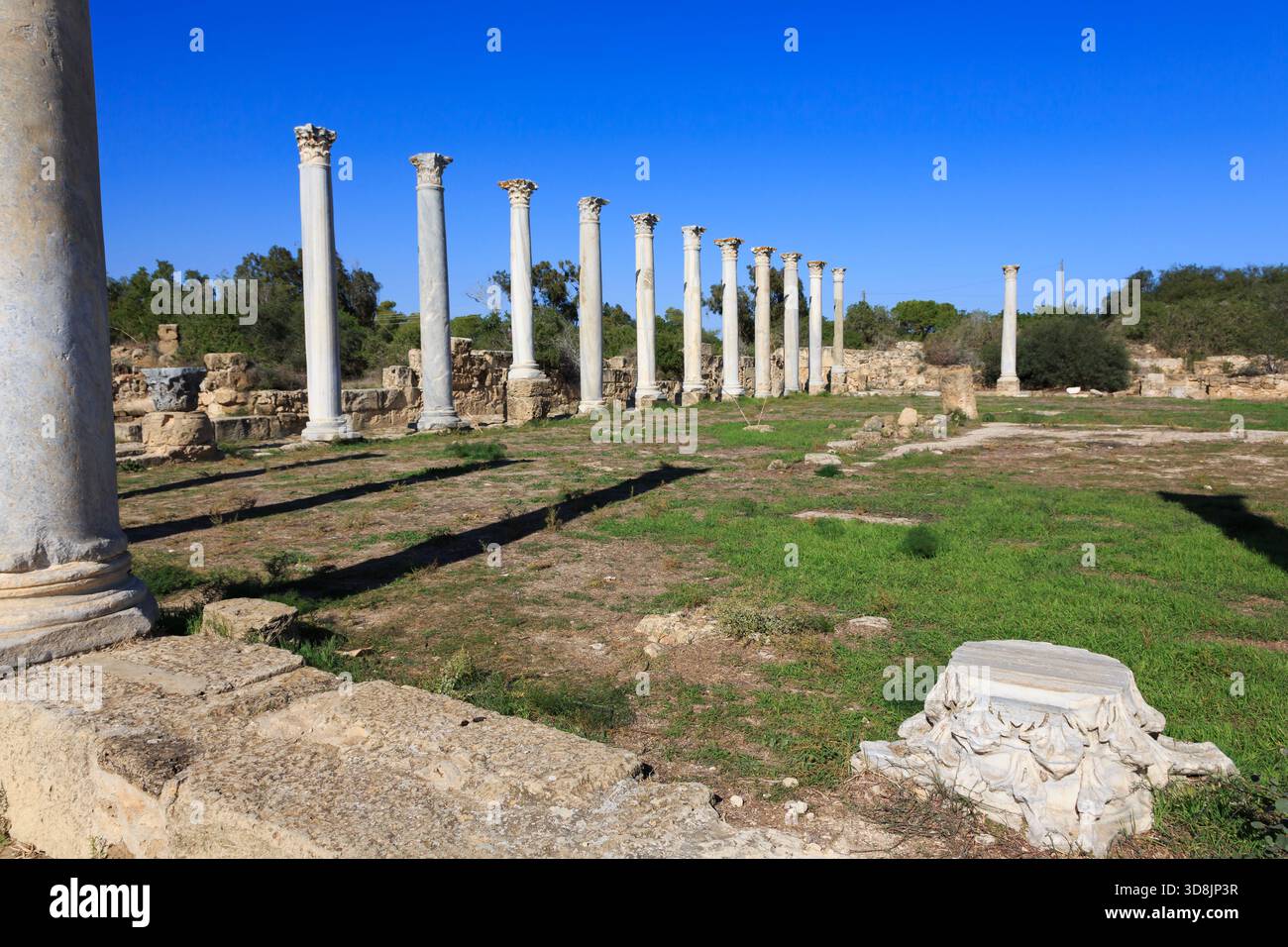 Ancient Roman ruins at Salamis, Northern Cyprus Republic Stock Photo ...