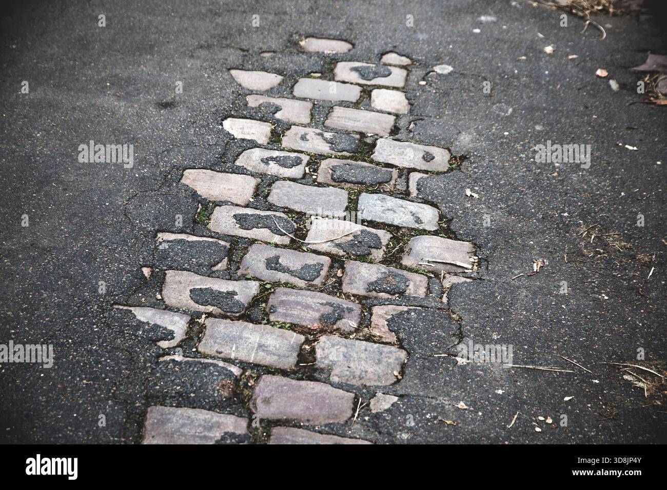 Revealing european building exterior hi-res stock photography and ...