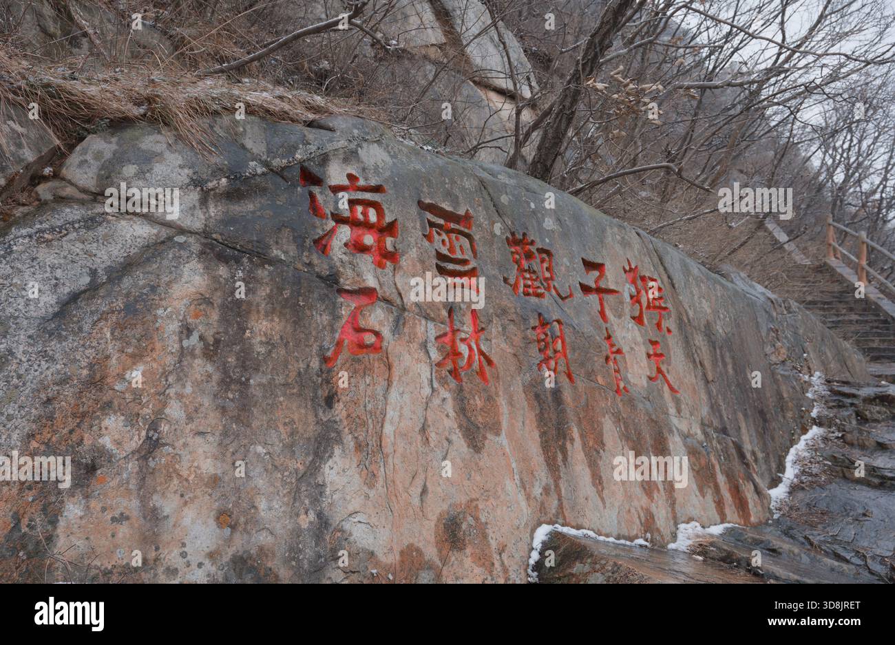 Forest calligraphy hi-res stock photography and images - Alamy