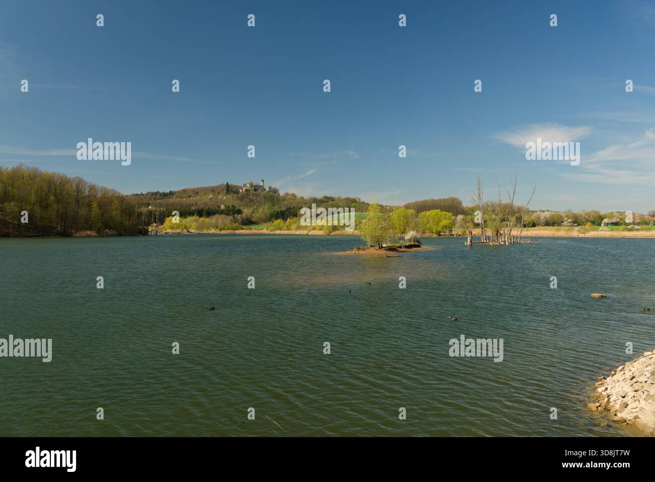 Castle Kallenberg near Coburg in its beautiful natural surroundings ...