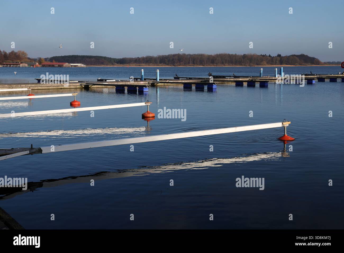 01 December 2025, Mecklenburg-Western Pomerania, Malchow: The water ...