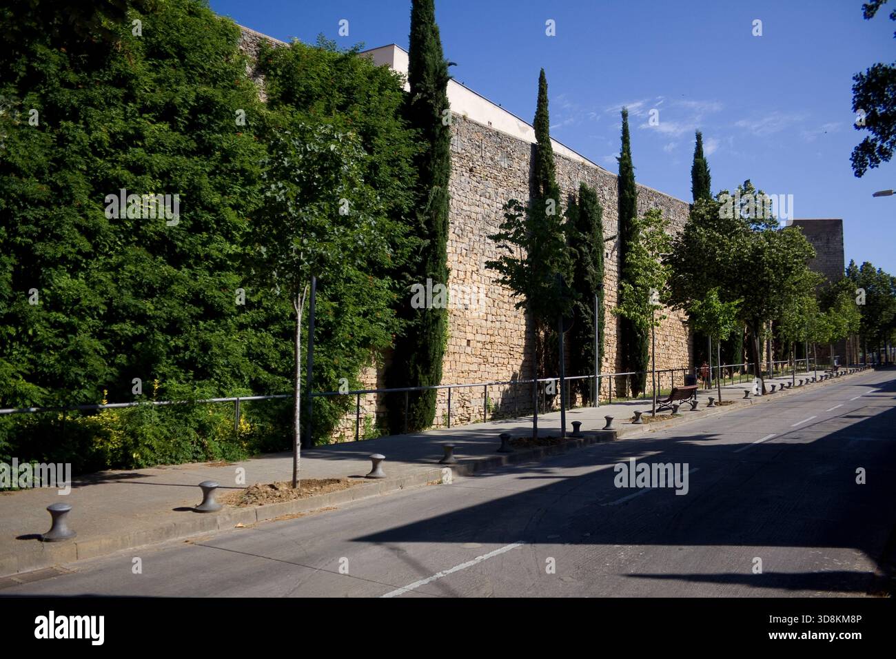 Ancient carolingian 9th century and late medieval 14 15th centuries ...