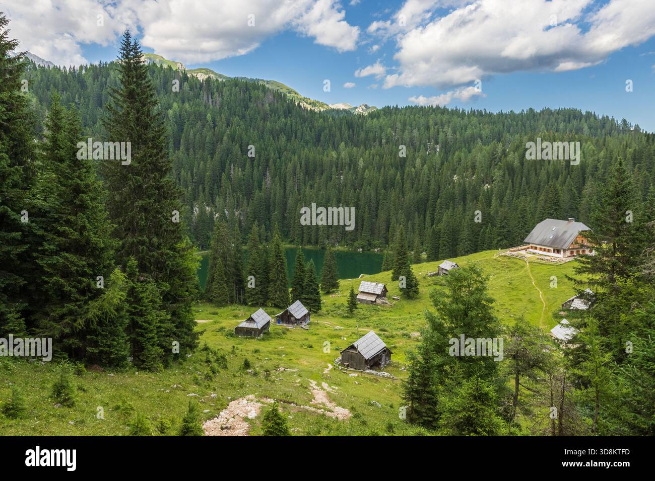 Traditional Mountain Huts in Forest Valley Stock Photo - Alamy