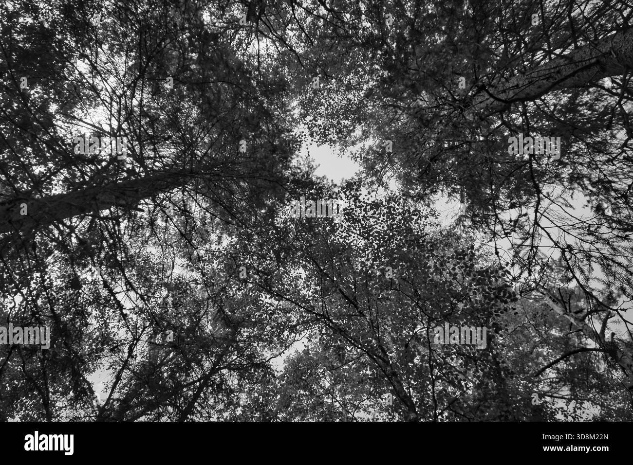 Sustainable atmosphere Black and White Stock Photos & Images - Alamy