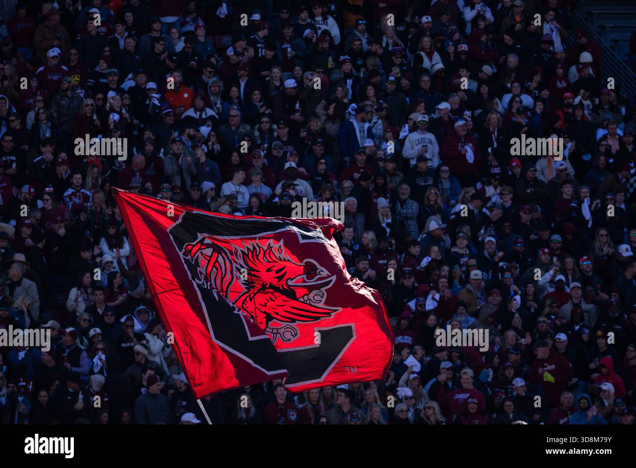 South Carolina fans look on during the first half of an NCAA college ...