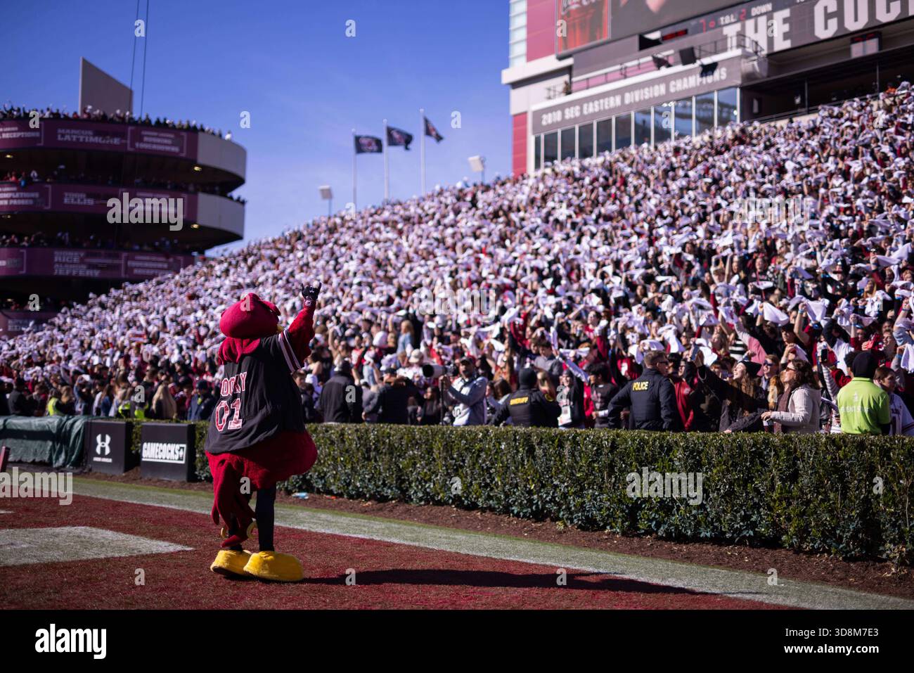 South Carolina mascot "Cocky" pumps up the students during a timeout ...